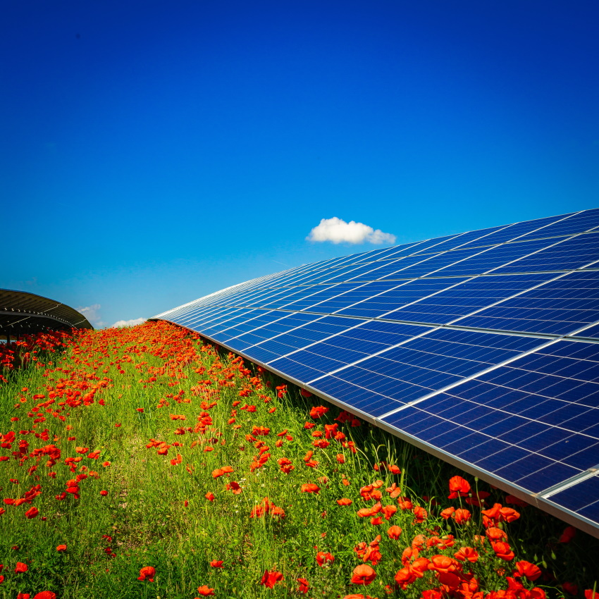 Investition in eine nachhaltige Zukunft - IBC SOLAR Blog Investition in eine nachhaltige Zukunft - IBC SOLAR Blog